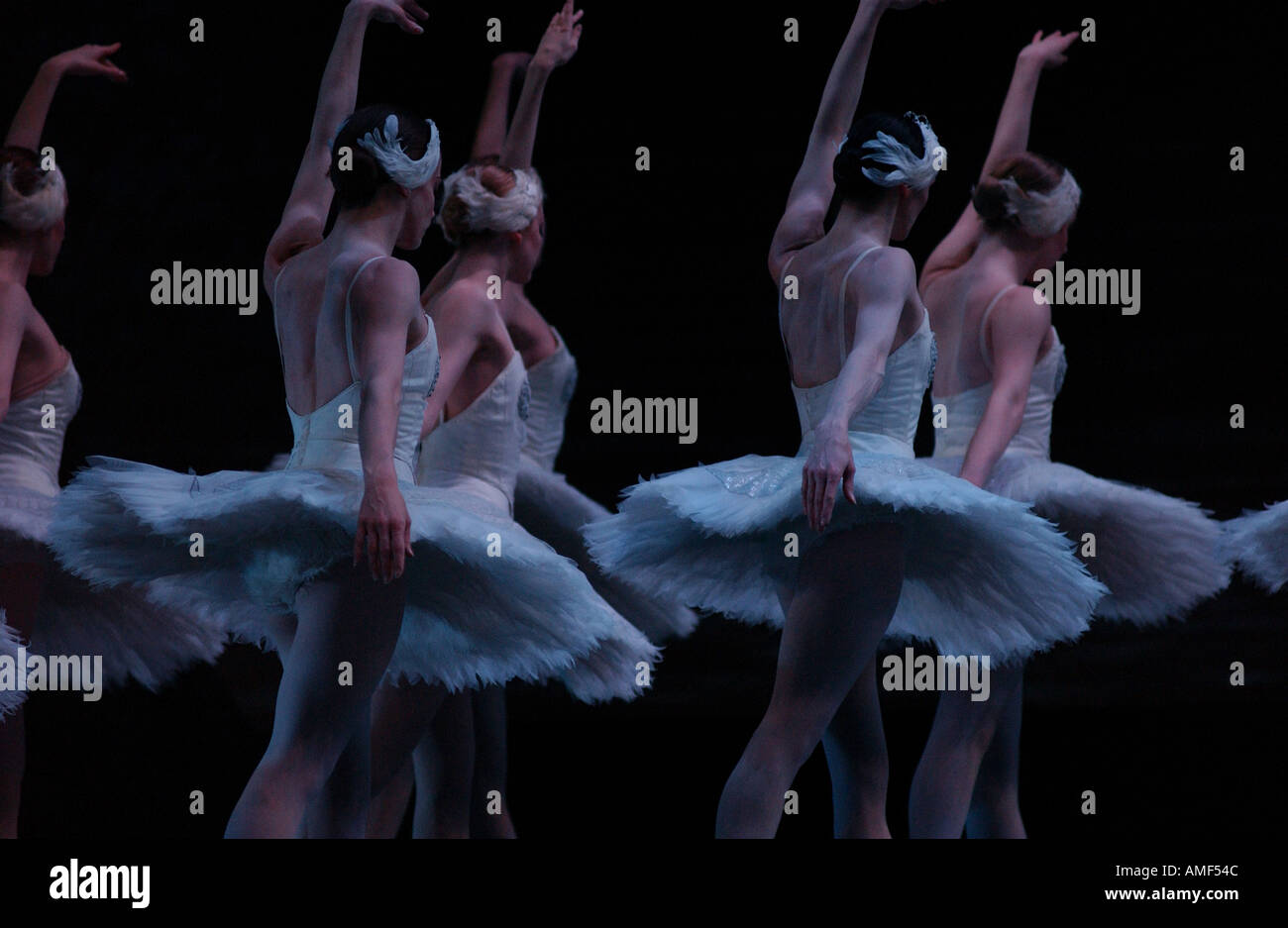 swan lake ballet Stock Photo - Alamy