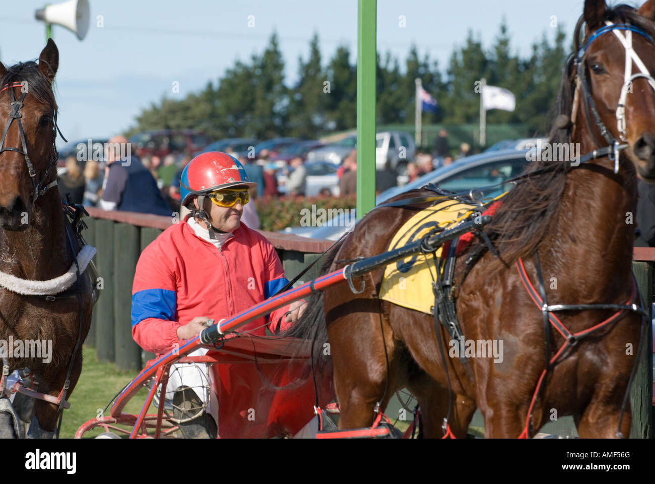 A harness racing rider after a race at Rangiora Stock Photo - Alamy