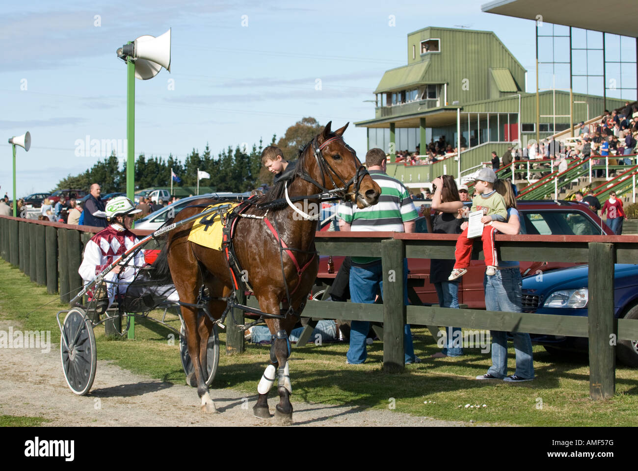 Sulky cart hi-res stock photography and images - Alamy
