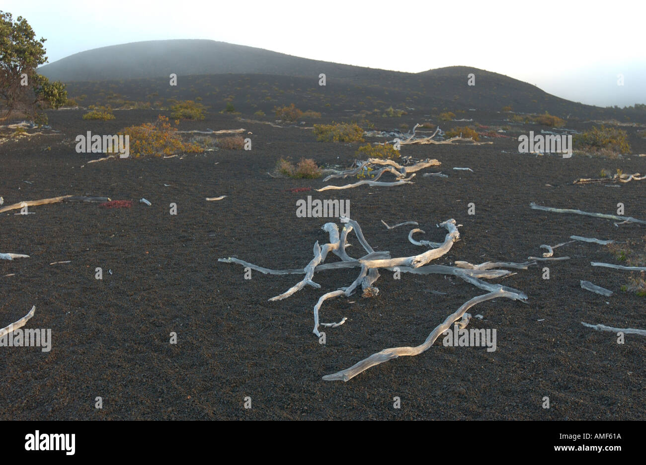 Volcano Desolation Trail Stock Photo - Alamy