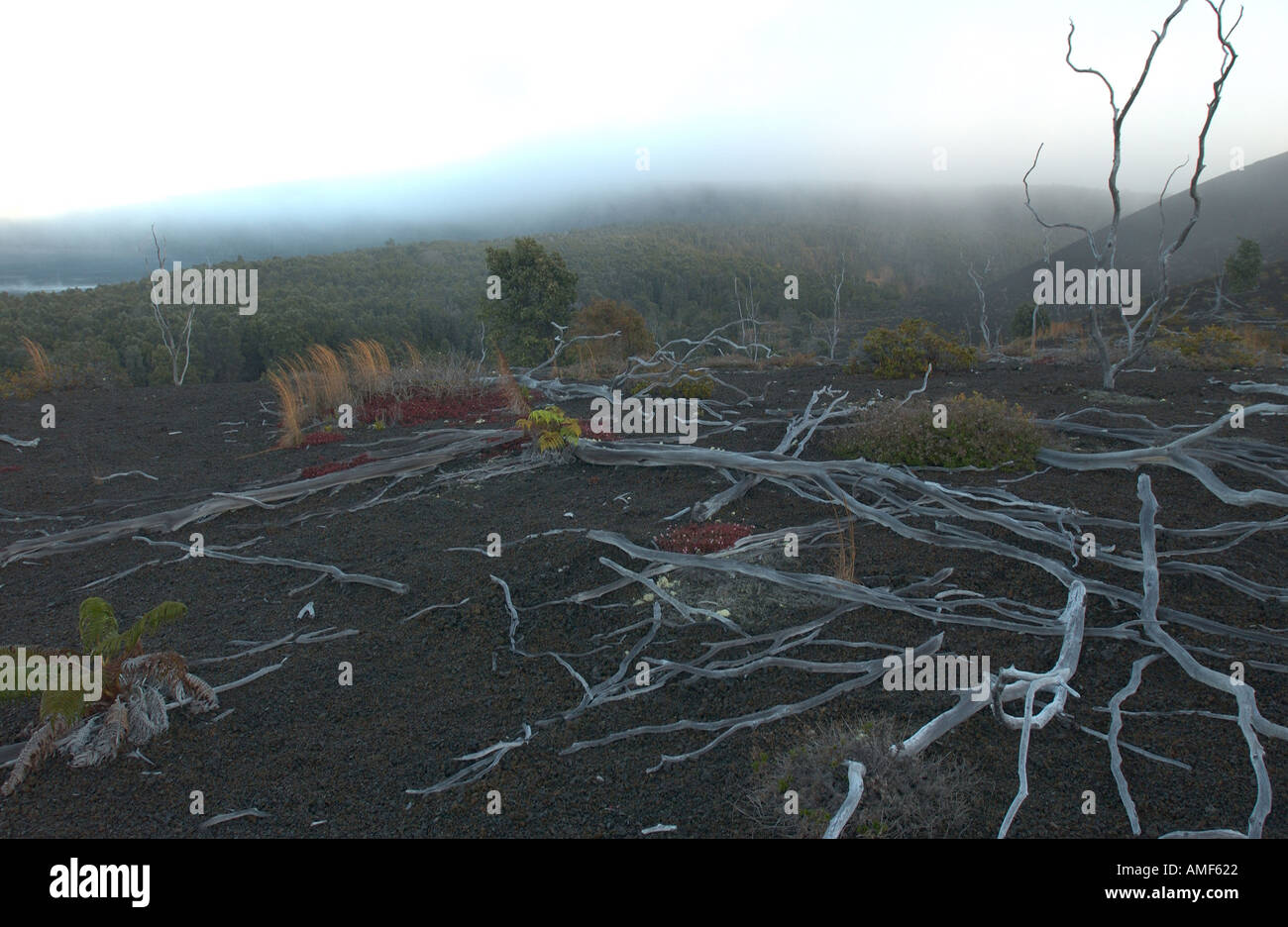Volcano Desolation Trail Stock Photo - Alamy