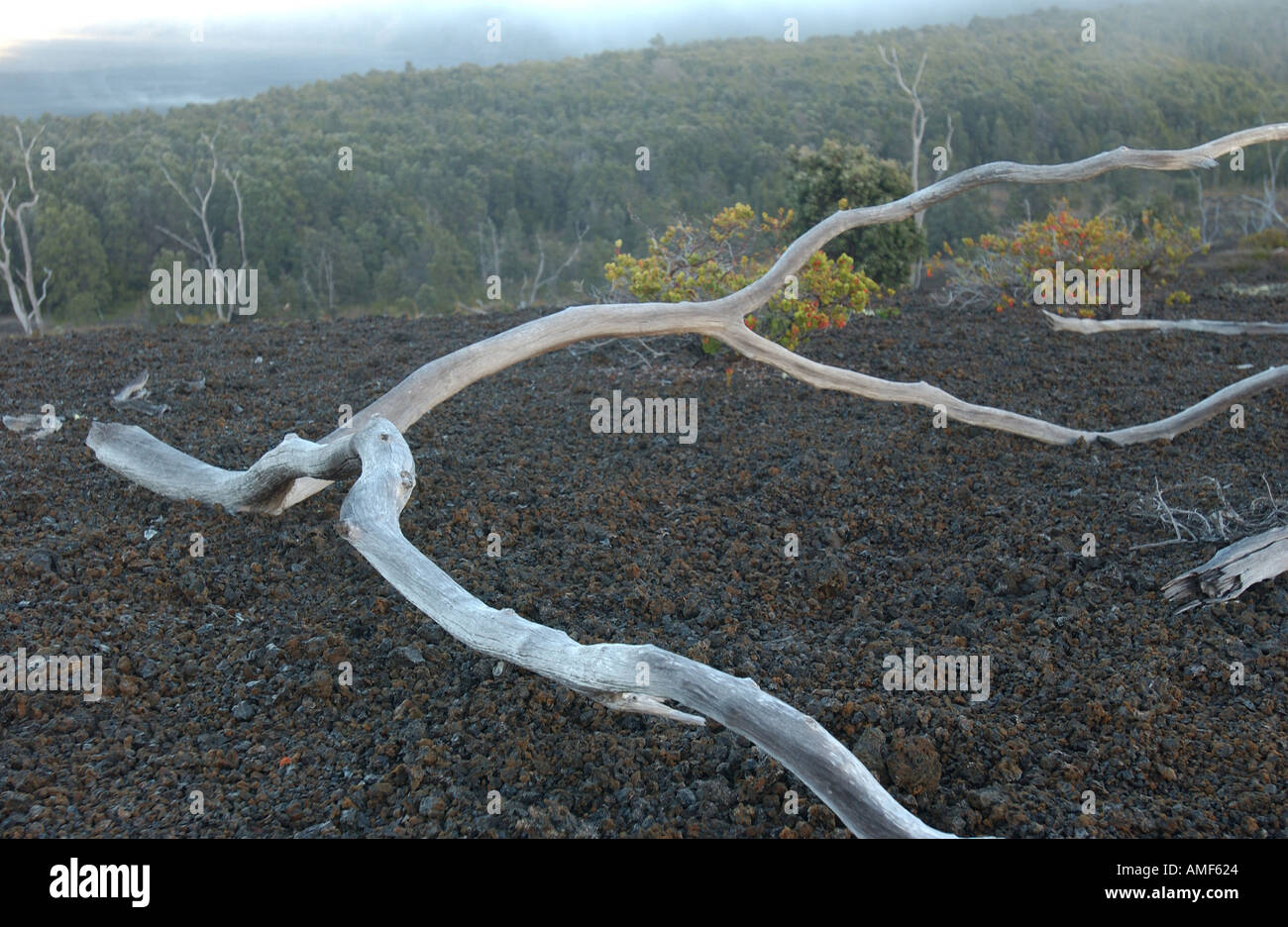 Volcano Desolation Trail Stock Photo - Alamy