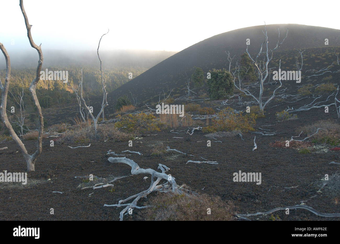 Volcano Desolation Trail Stock Photo - Alamy