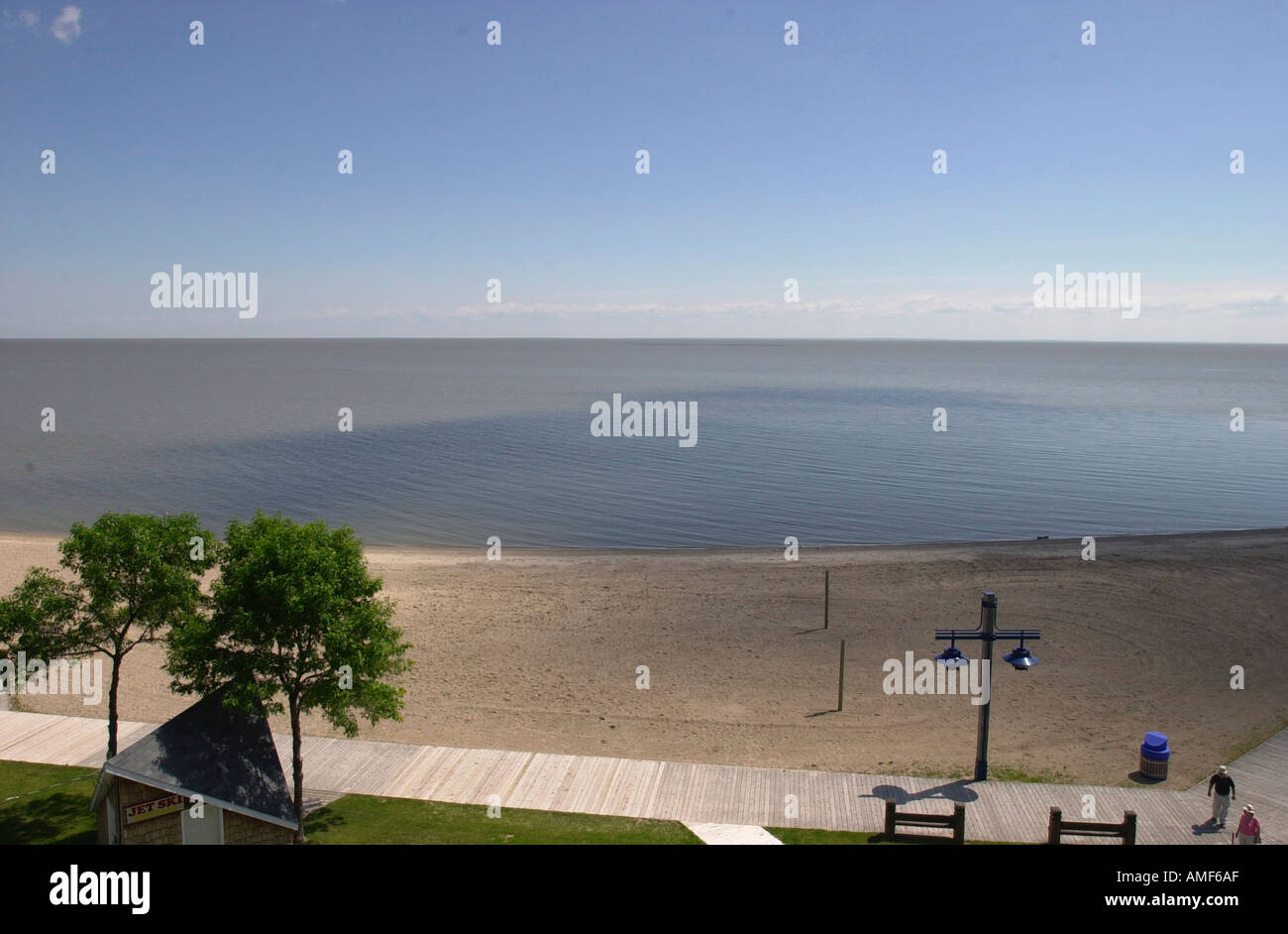 Hanging Lights Lantern Lanterns Tree Trees High Resolution Stock ...