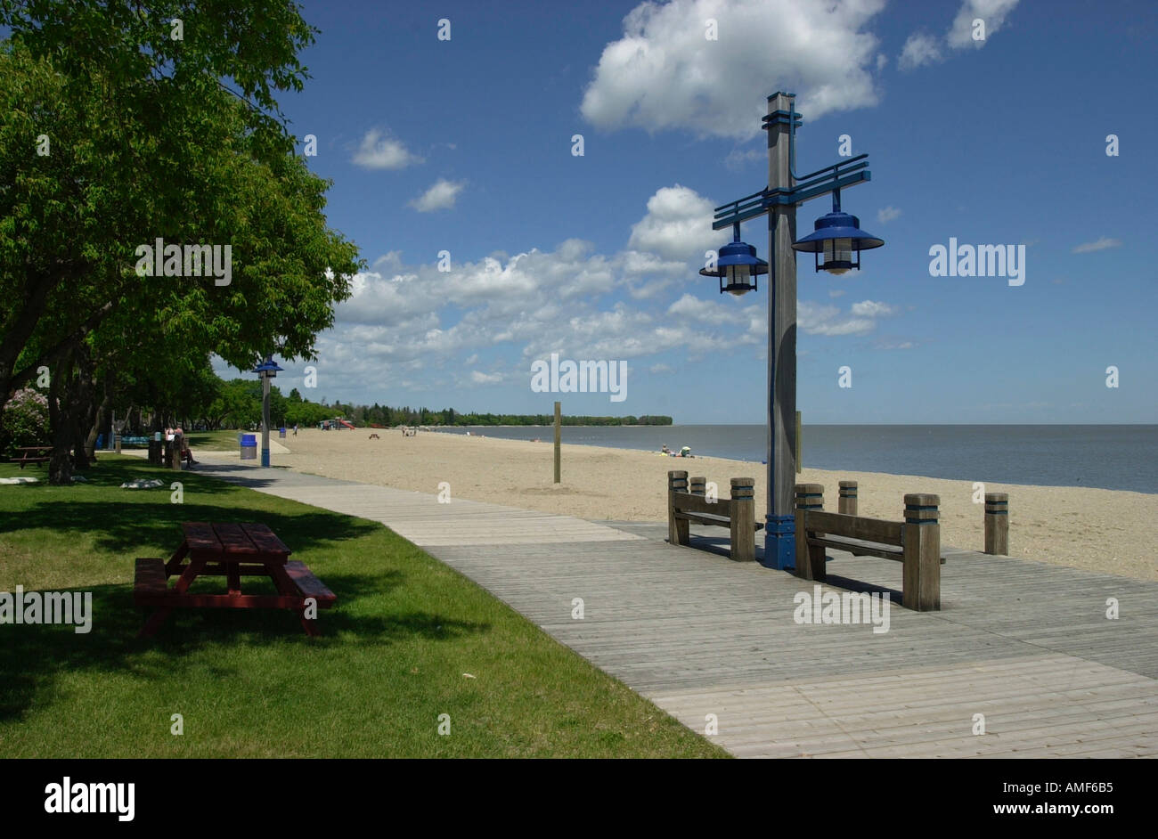 Hanging Lights Lantern Lanterns Tree Trees High Resolution Stock ...