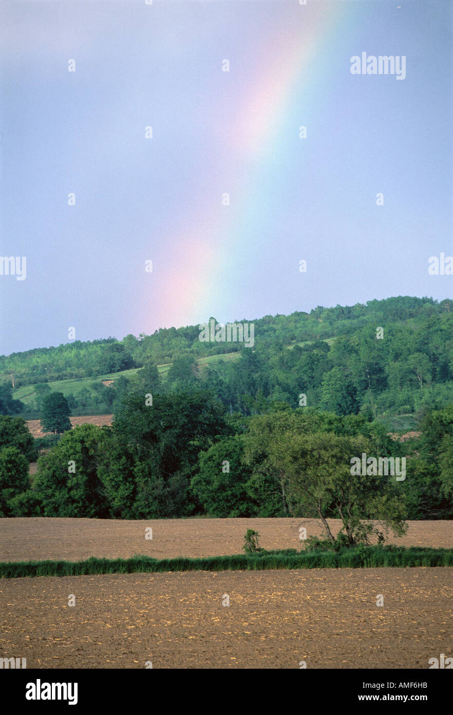 Rainbow over Field and Trees, Ontario, Canada Stock Photo - Alamy