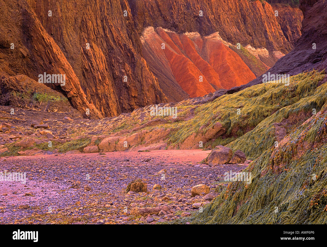 Minas Basin at Low Tide, Five Islands Provincial Park, Bay of Fundy ...