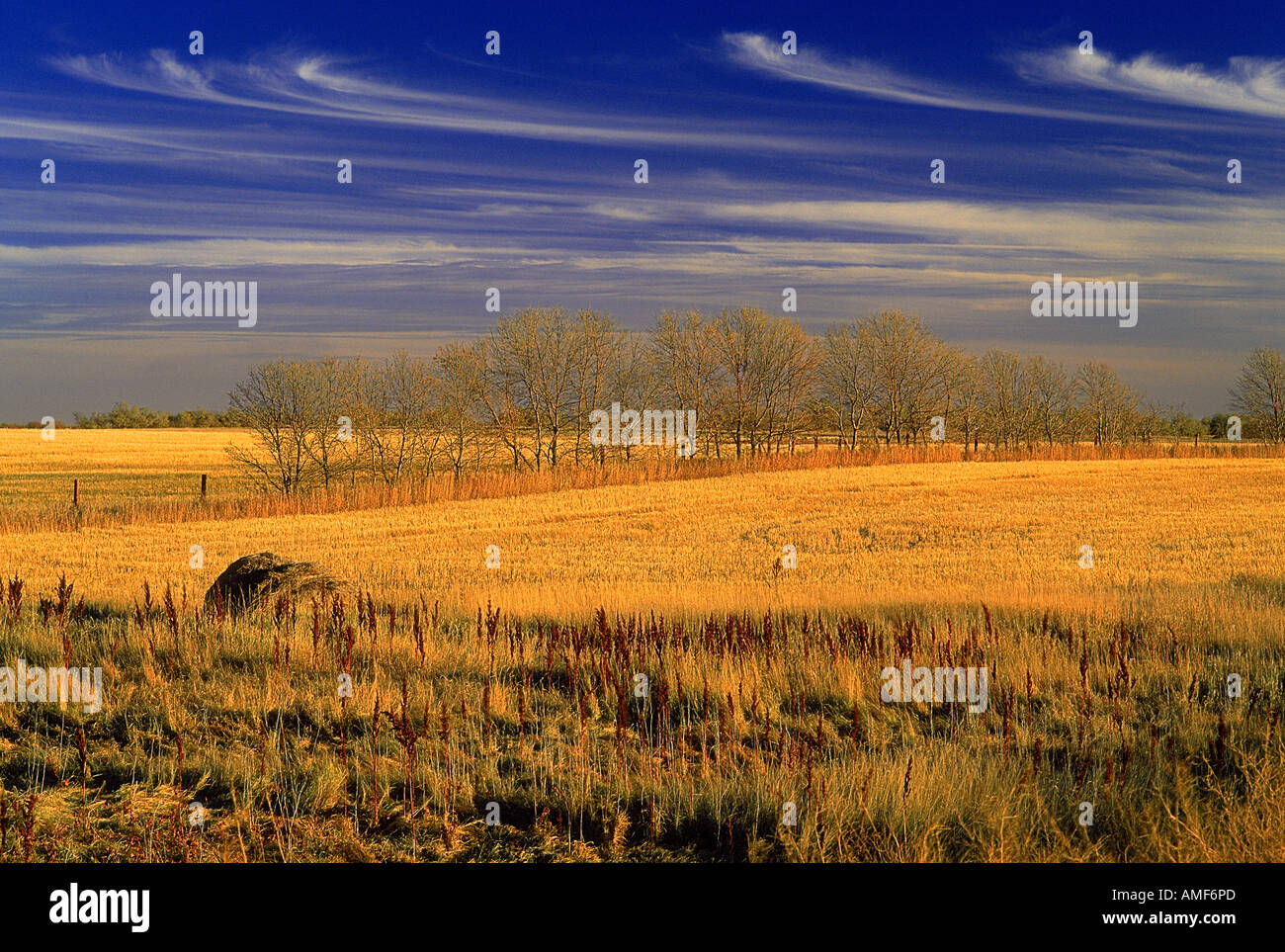 Estevan saskatchewan hi-res stock photography and images - Alamy