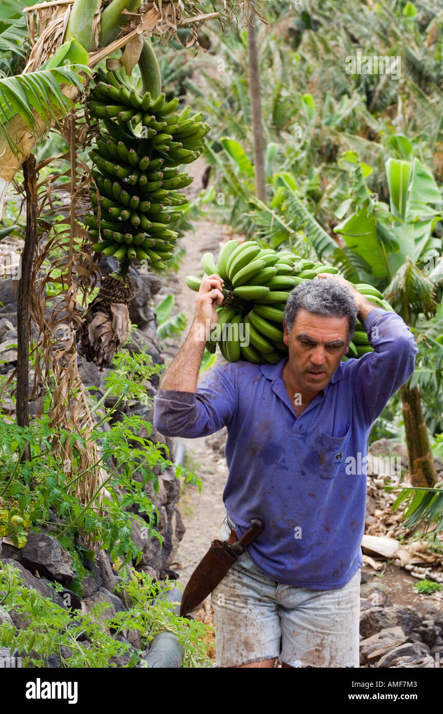 Man carrying bunch bananas on hi-res stock photography and images - Alamy
