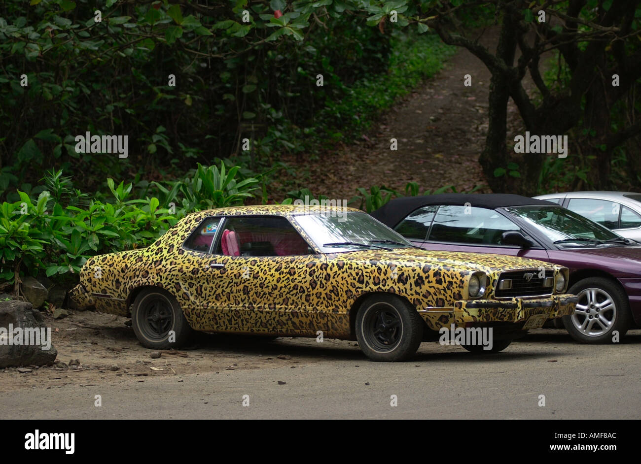 Kaui island hi-res stock photography and images - Alamy