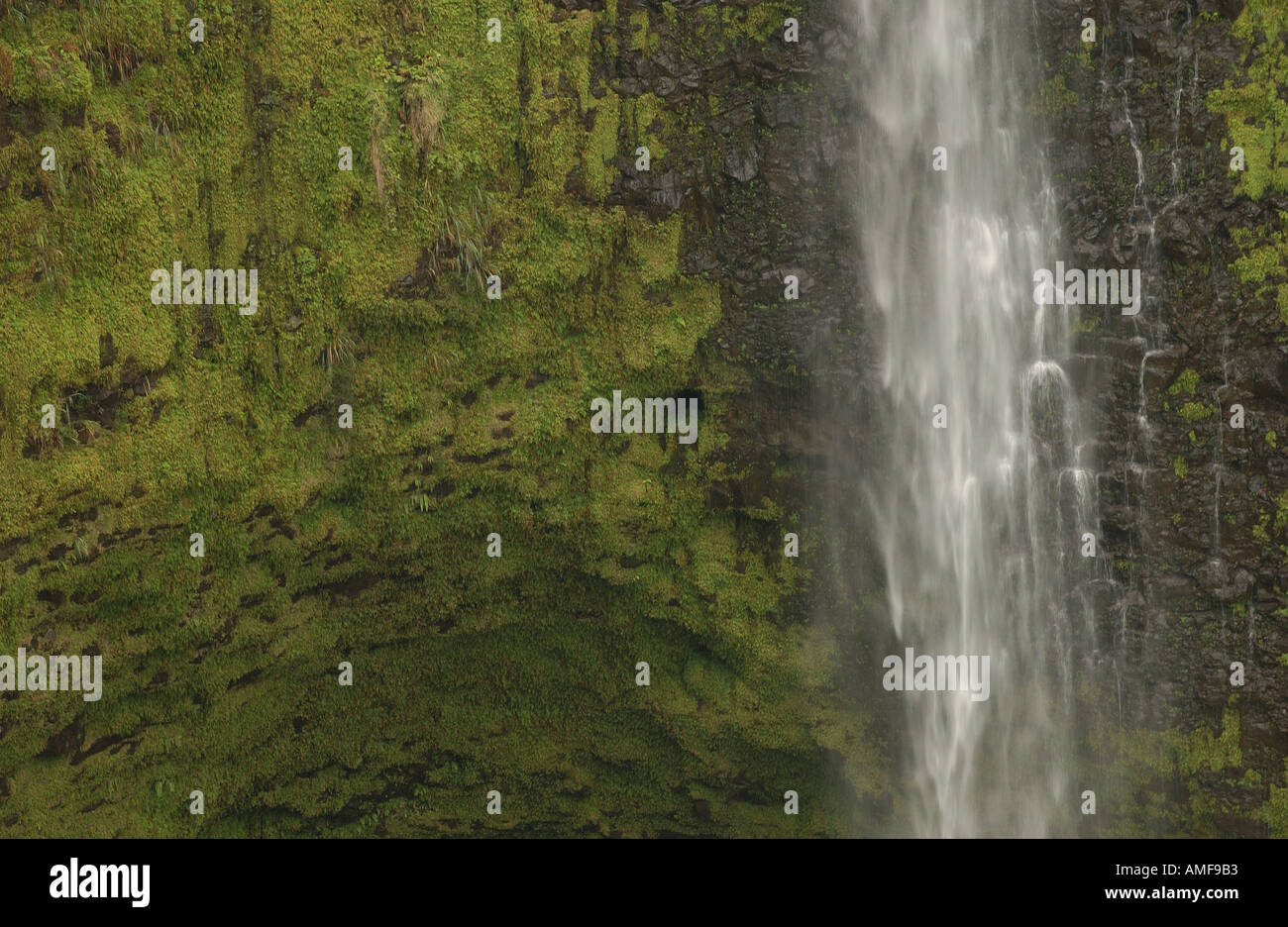 Akaka falls, hilo hi-res stock photography and images - Alamy