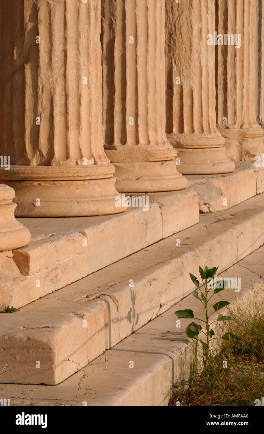 Parthenon greece plants hi-res stock photography and images - Alamy