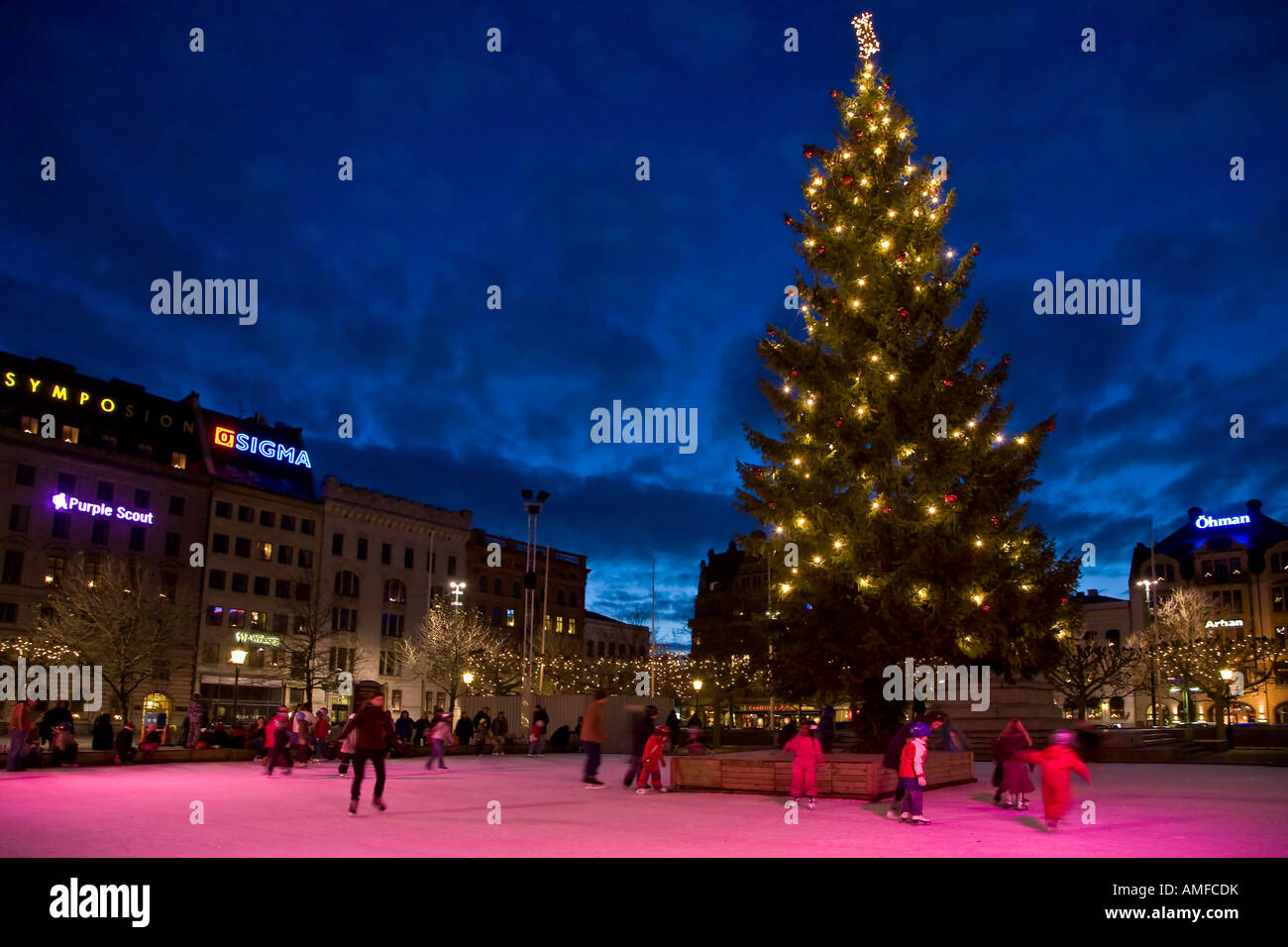Tree in center hi-res stock photography and images - Alamy