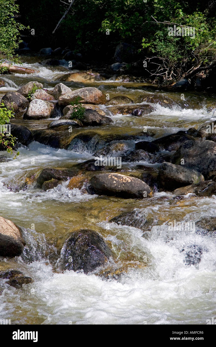 Small tributary stream along the South Fork of the Salmon River near ...