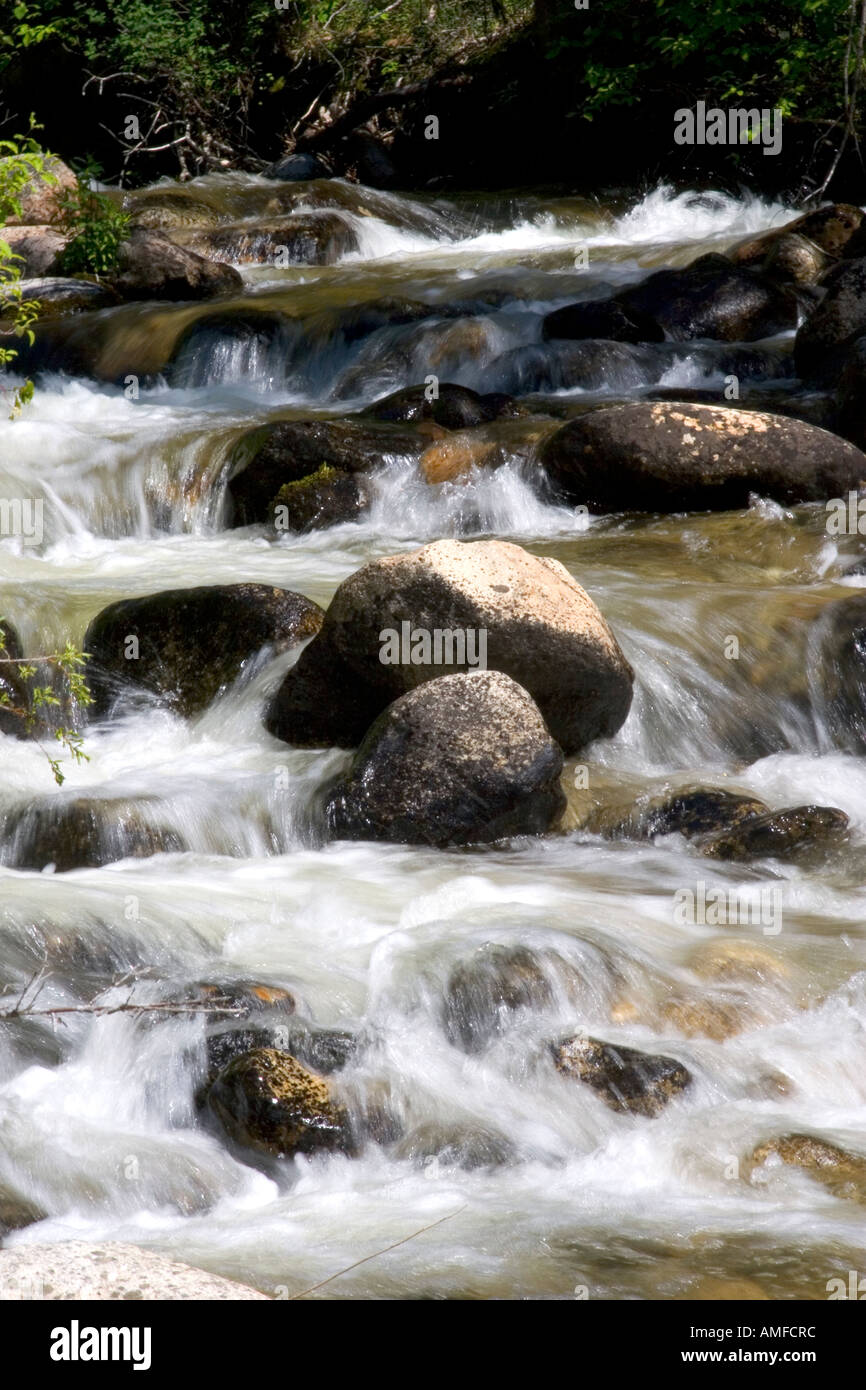 Small tributary stream along the South Fork of the Salmon River near ...