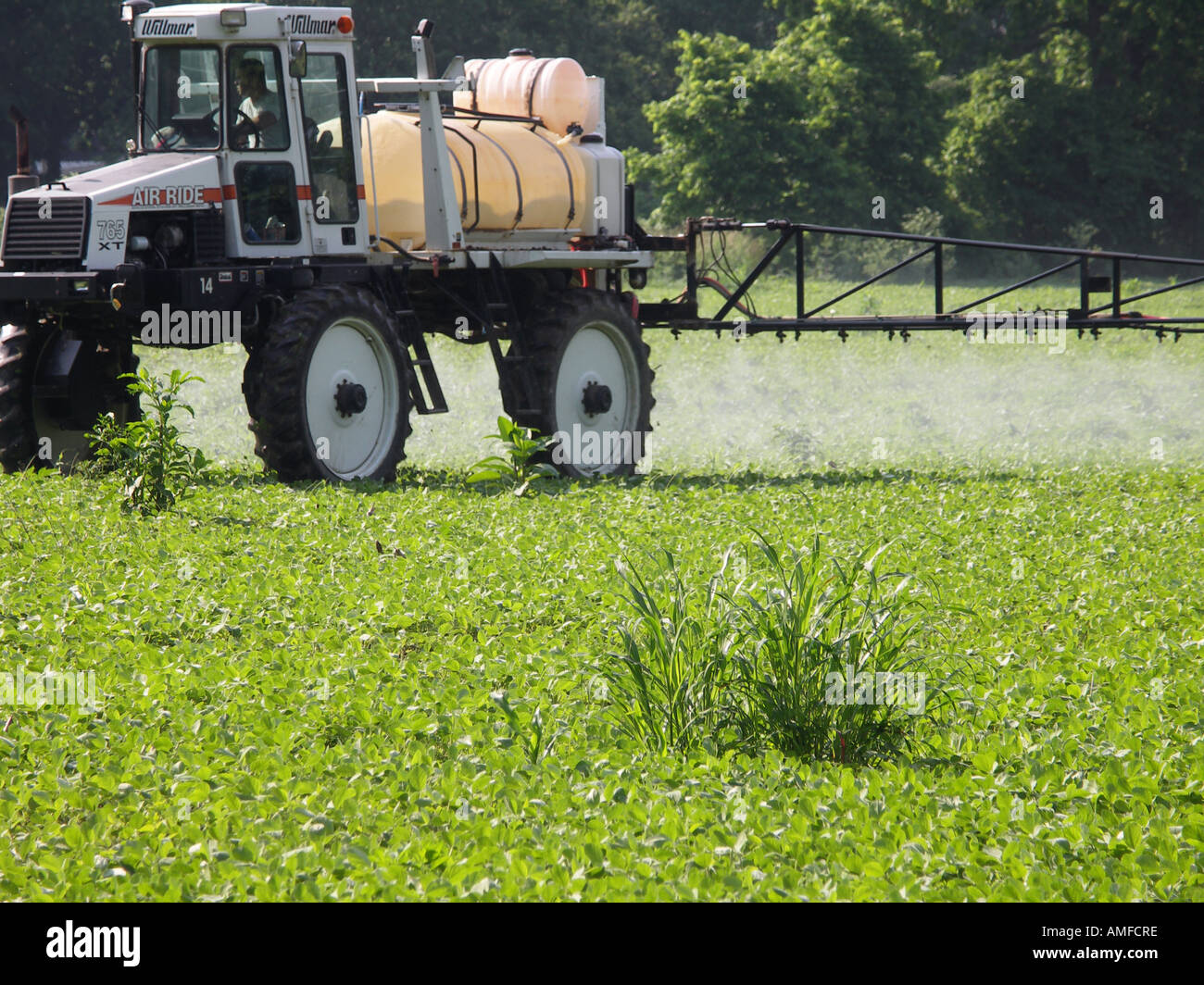 Ecosystem ecosystem biotic outdoors daytime daylight hi-res stock ...