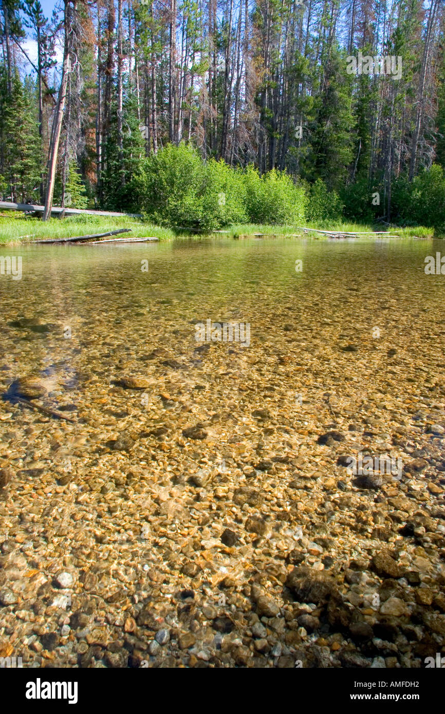 Clear waters of the outlet to Alturas Lake in the Sawtooth National ...