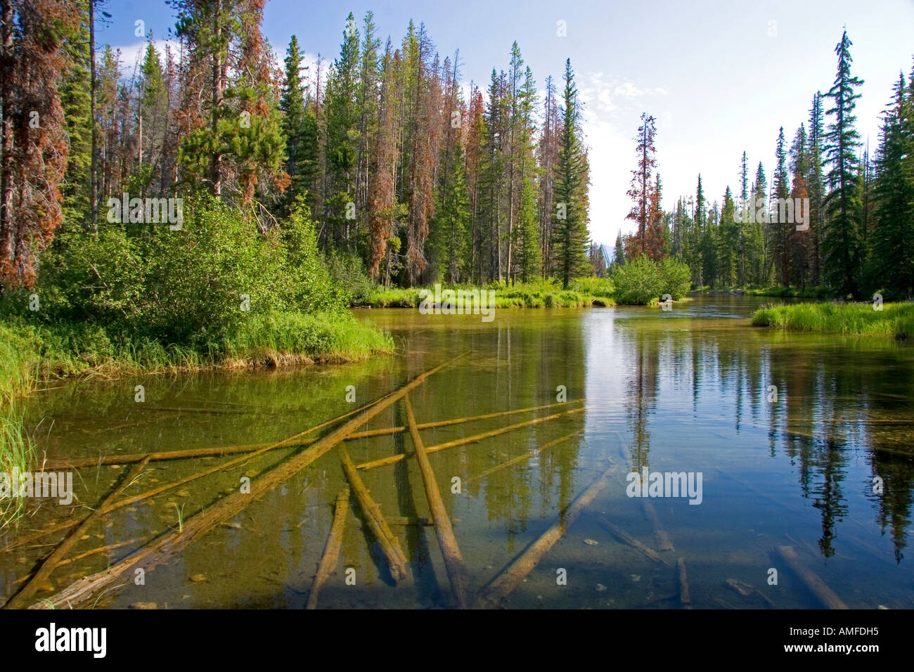 Clear waters of the outlet to Alturas Lake in the Sawtooth National ...