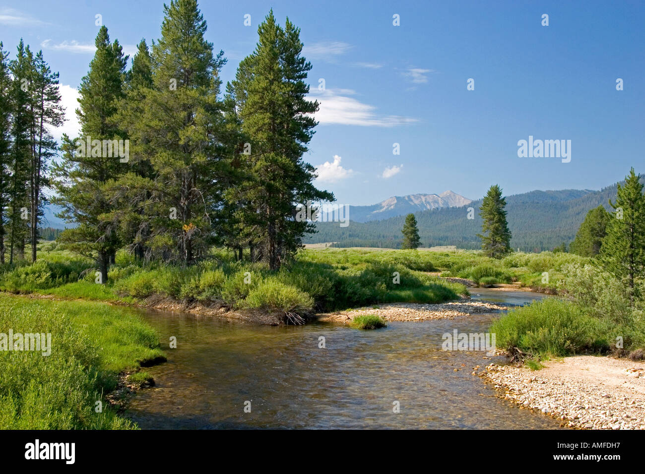 Headwaters of the Salmon River in the Sawtooth National Recreation Area ...