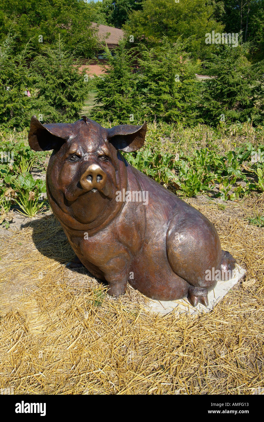 Pig Hog mascot at Dow Gardens Midland Michigan Stock Photo - Alamy