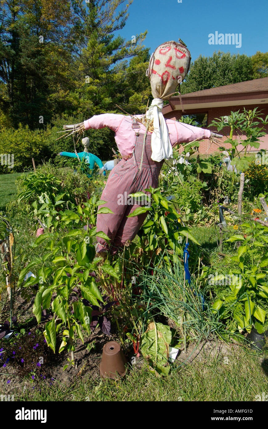 Scarecrow in vegetable garden Dow Gardens Midland Michigan Stock Photo ...