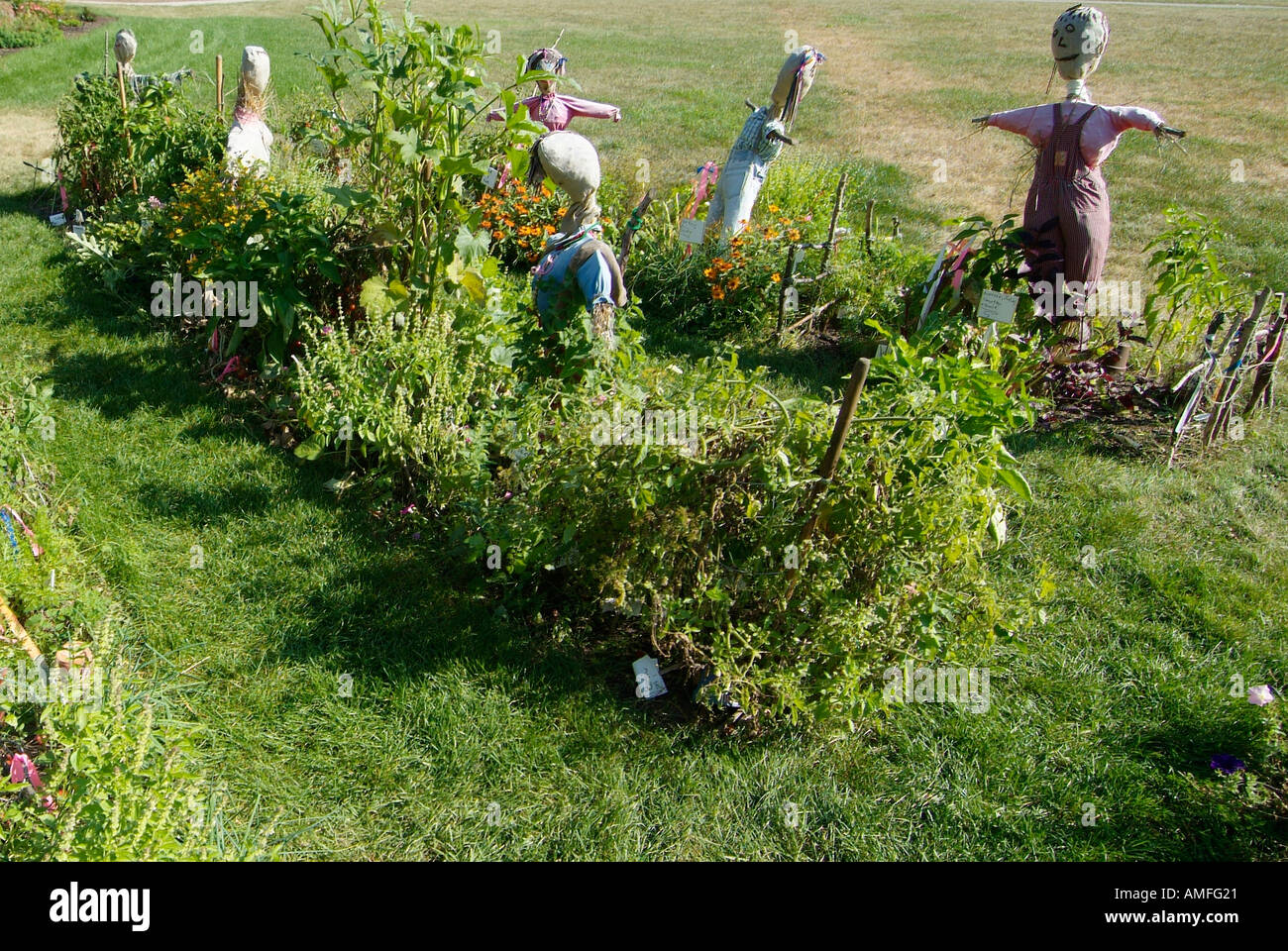 Scarecrow in vegetable garden Dow Gardens Midland Michigan Stock Photo ...