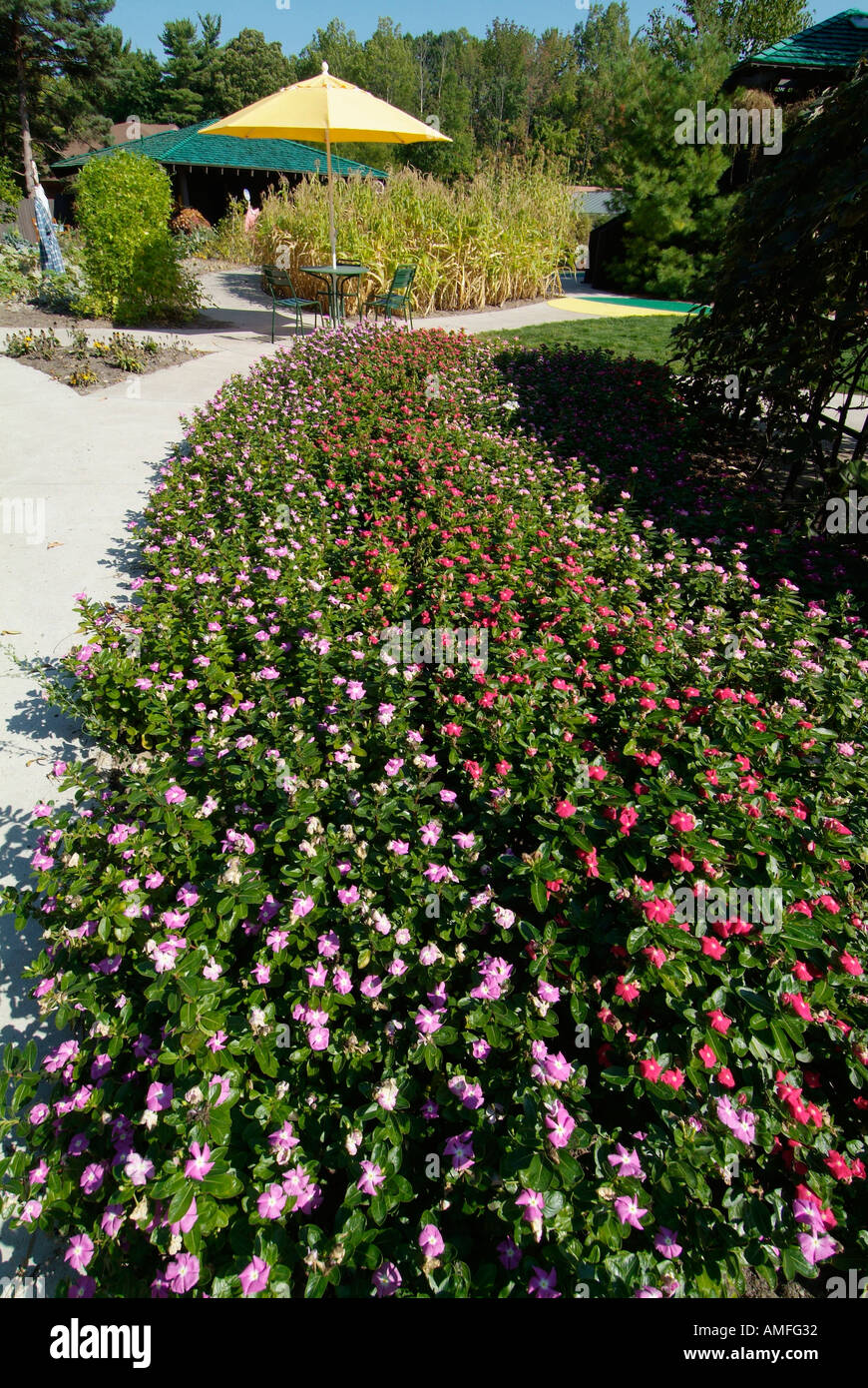 Dow gardens flower hi-res stock photography and images - Alamy