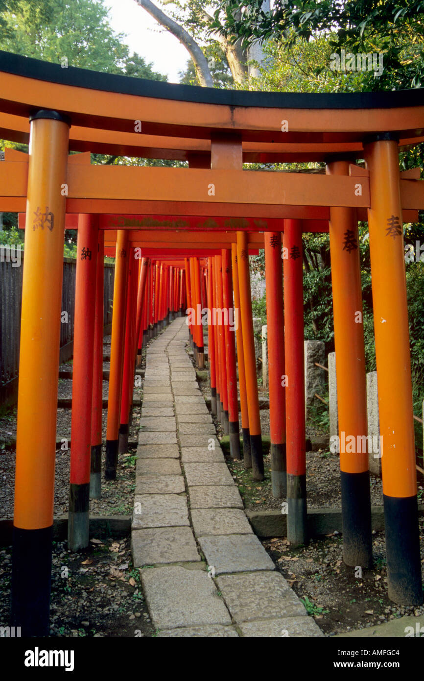 Torii gates tokyo hi-res stock photography and images - Alamy