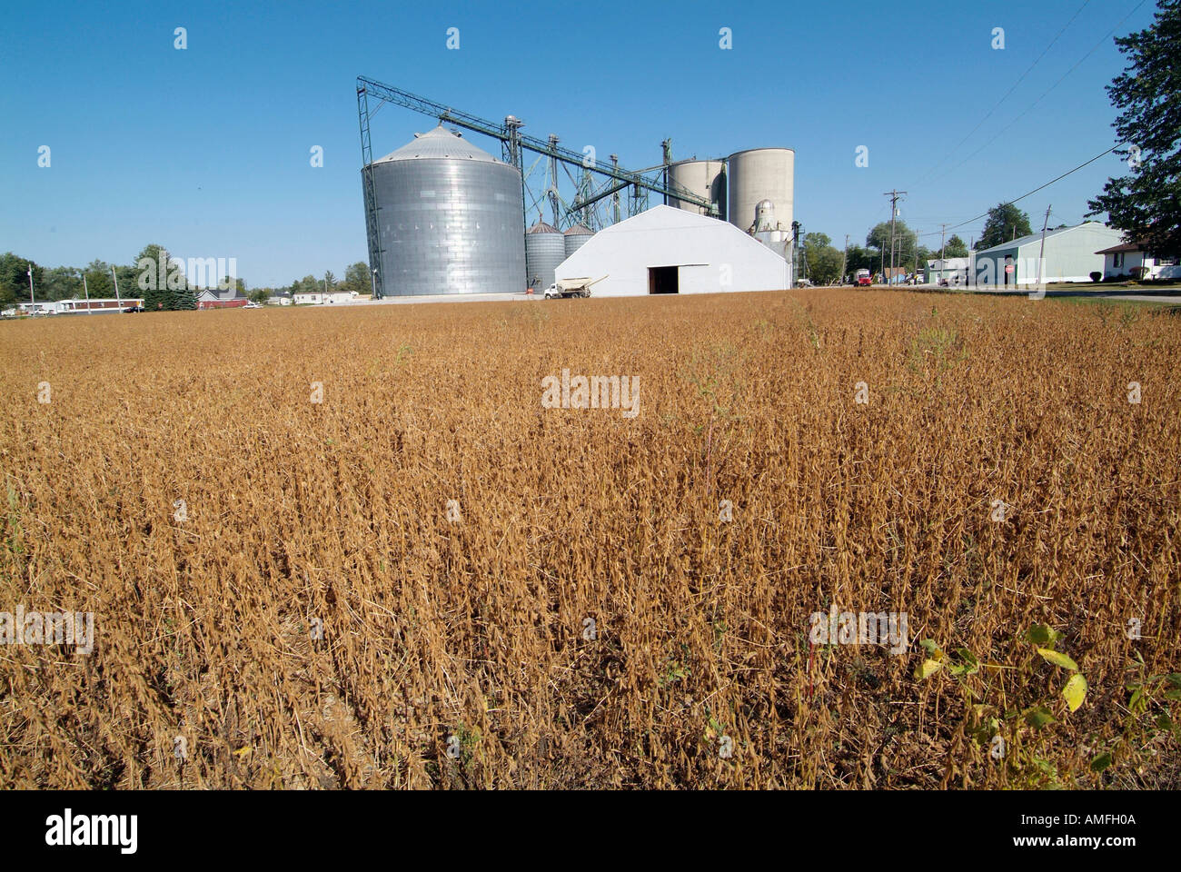 Ripe soybean field ready for harvesting with a backdrop of a grain ...