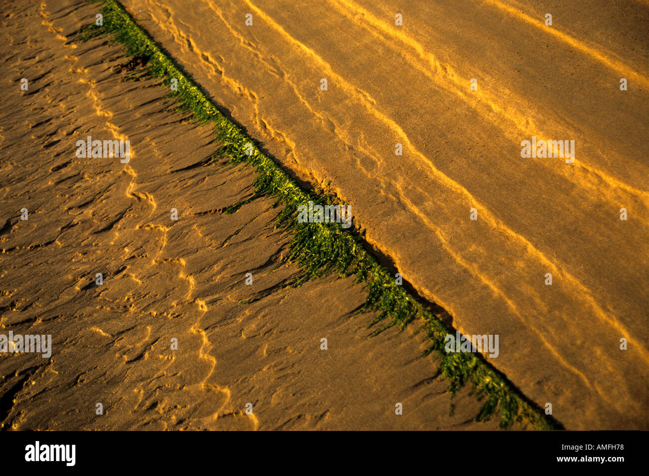 Tide lines on the Beach Stock Photo - Alamy