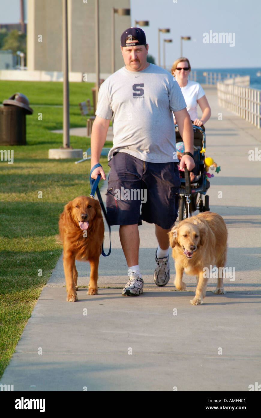 Two pet dogs hi-res stock photography and images - Alamy
