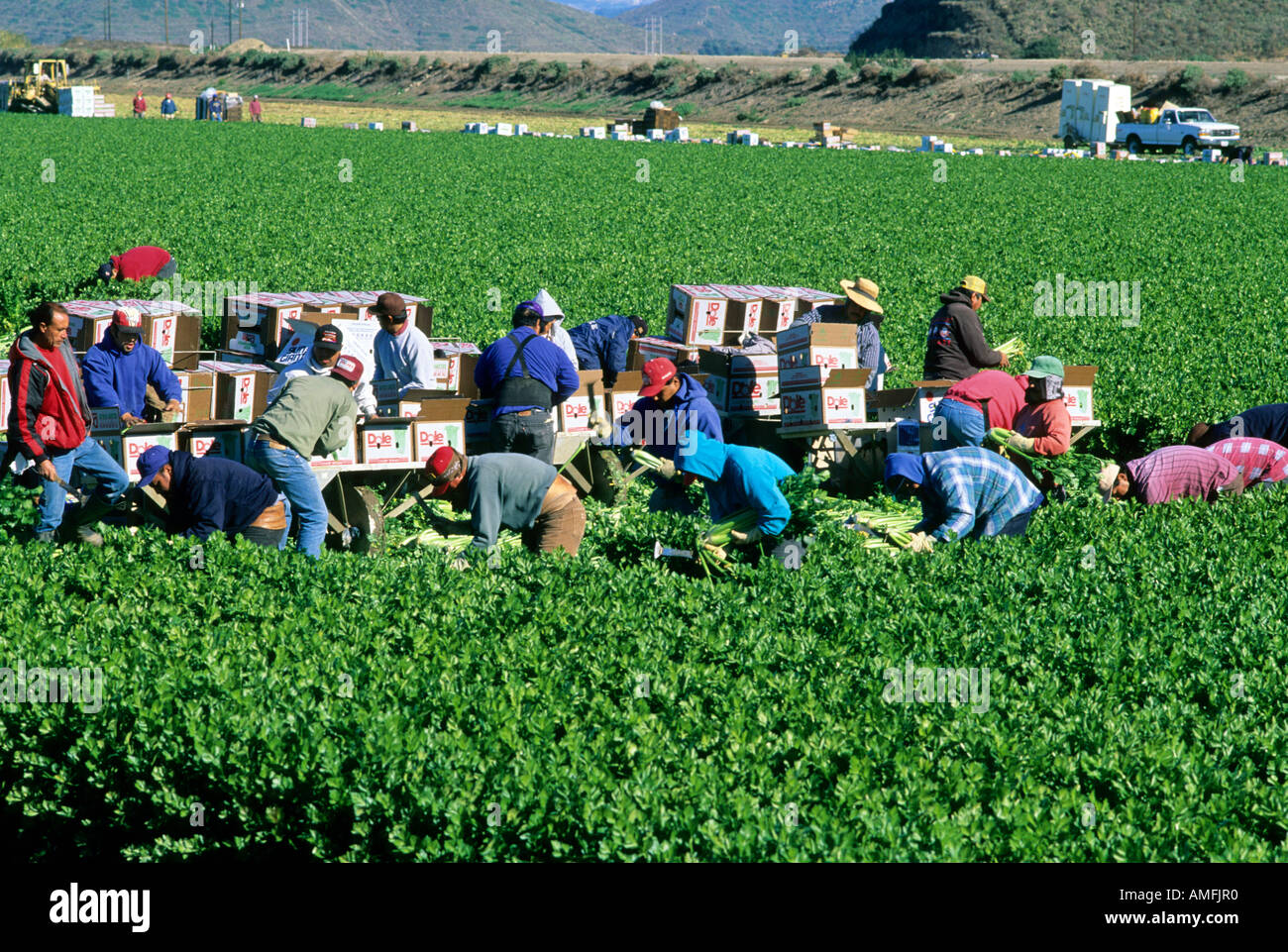California farm field migrant workers hi-res stock photography and ...