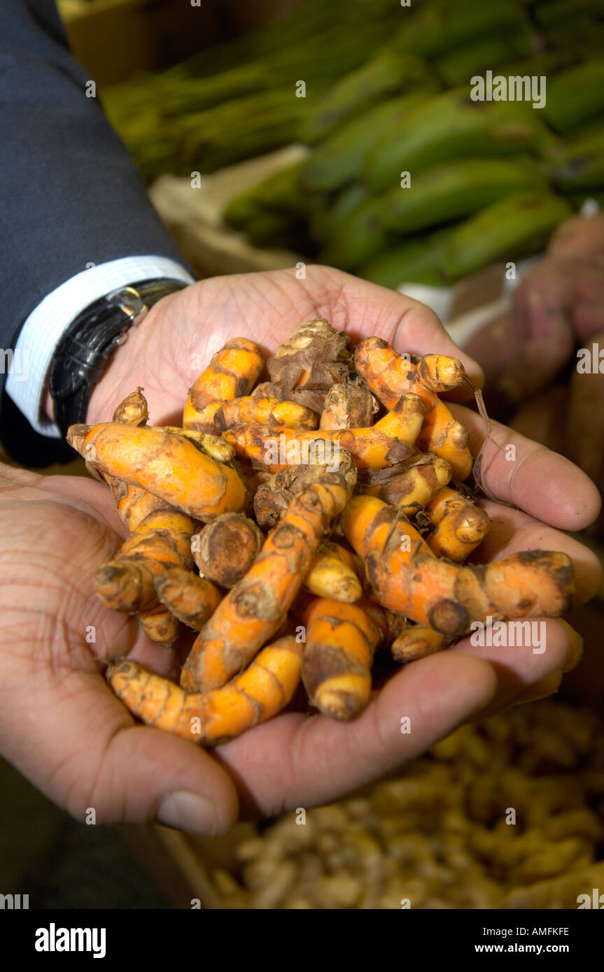 hands holding ginger in a market stall Stock Photo - Alamy