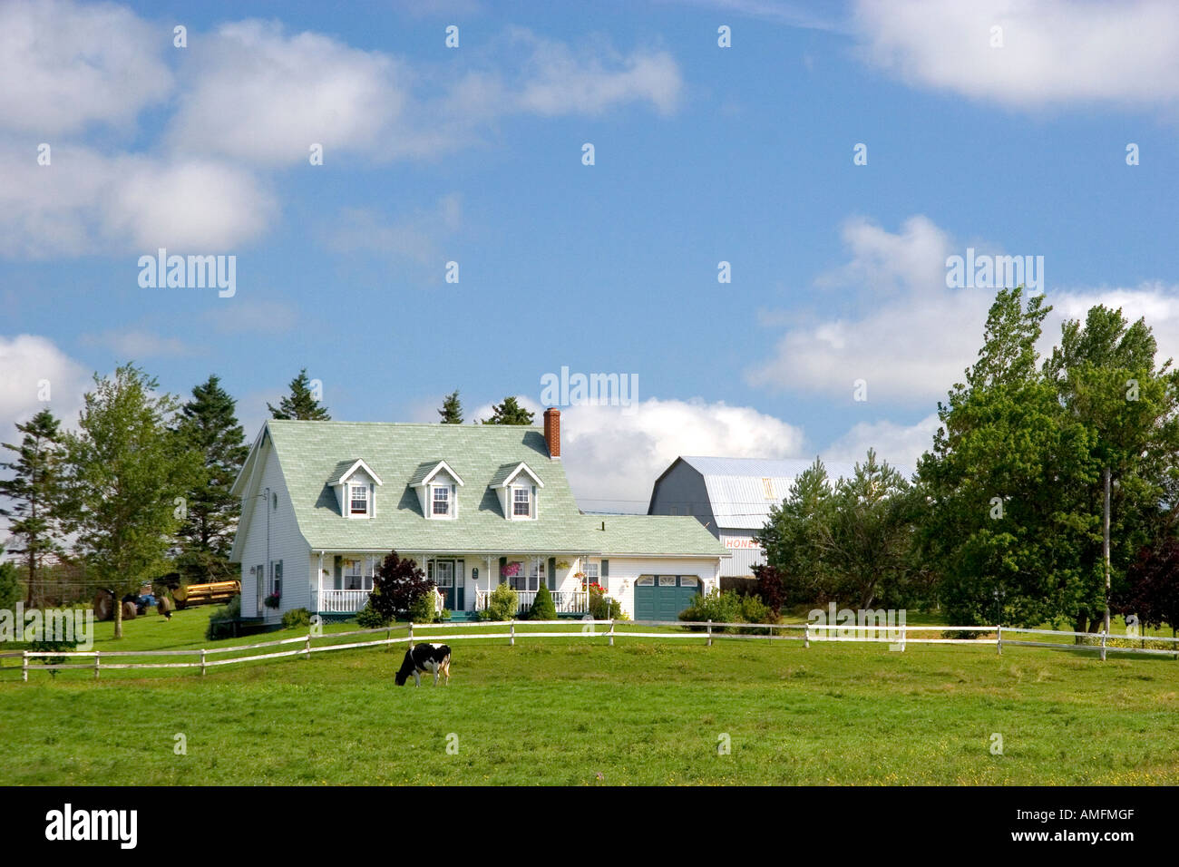 Farm and holstein cattle on Prince Edward Island, Canada Stock Photo ...