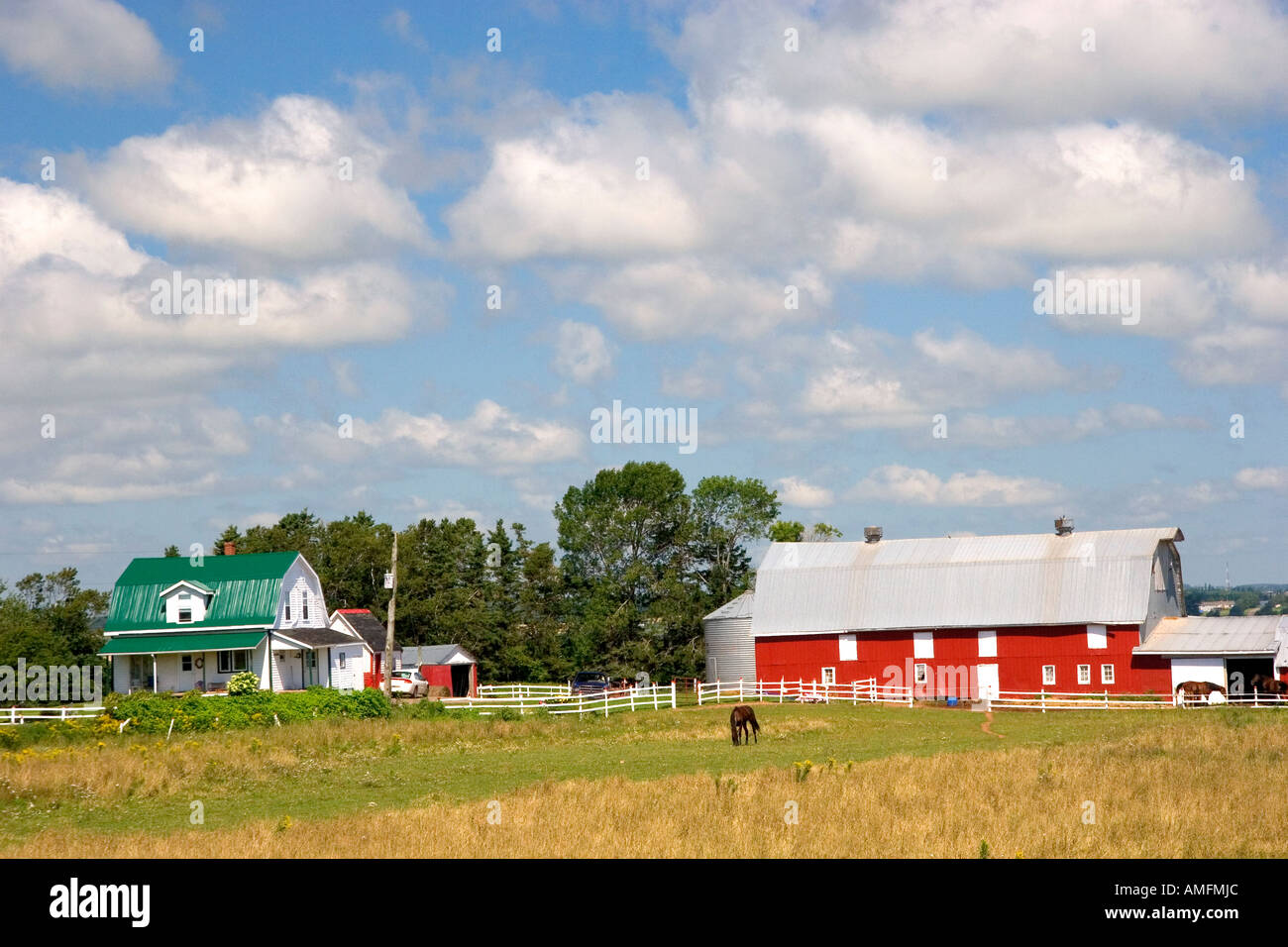 Red barn and farm house on Prince Edward Island, Canada Stock Photo - Alamy