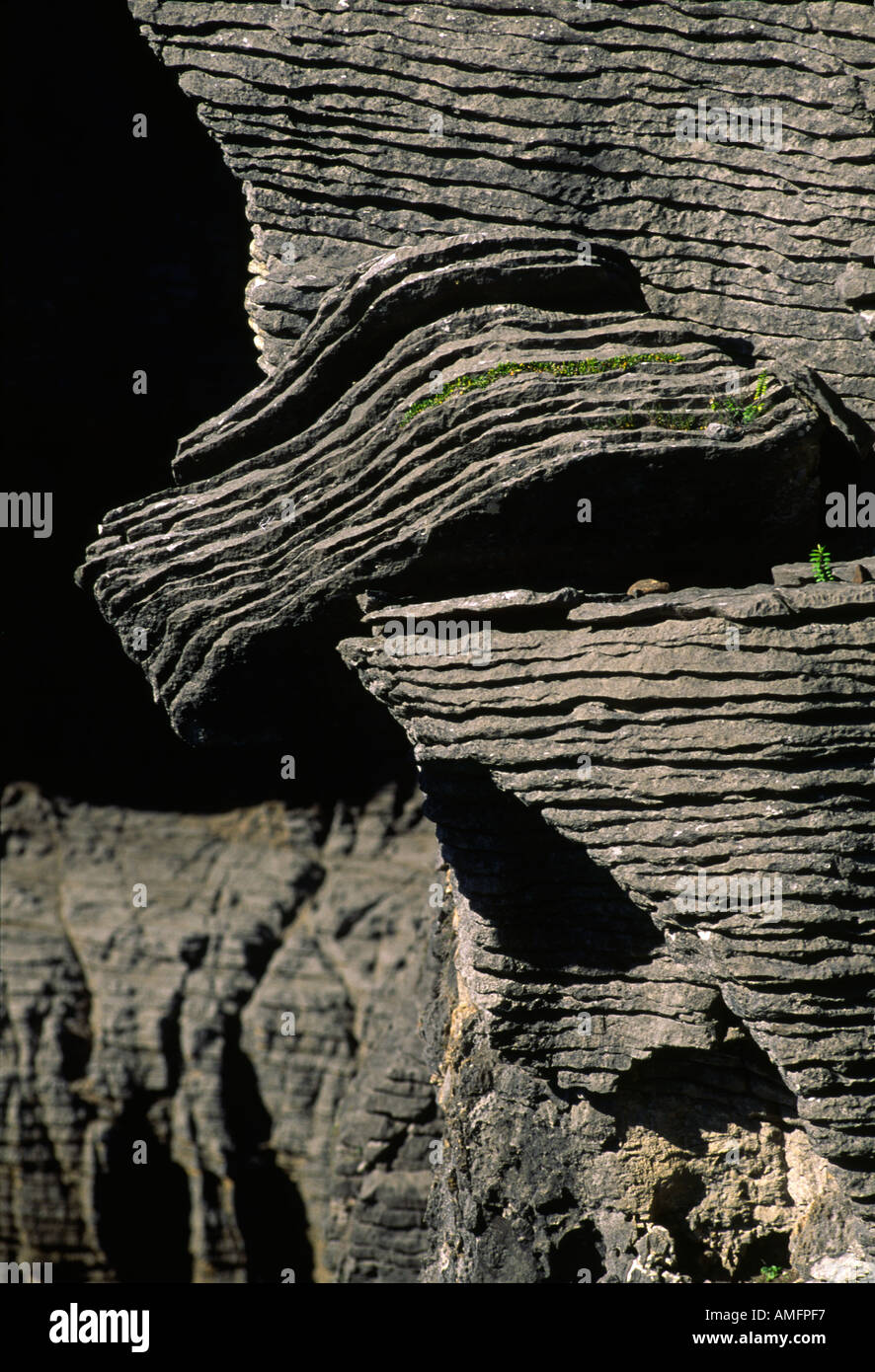 These are the famous PANCAKE ROCKS located on PUNAKAIKI S spectacular ...