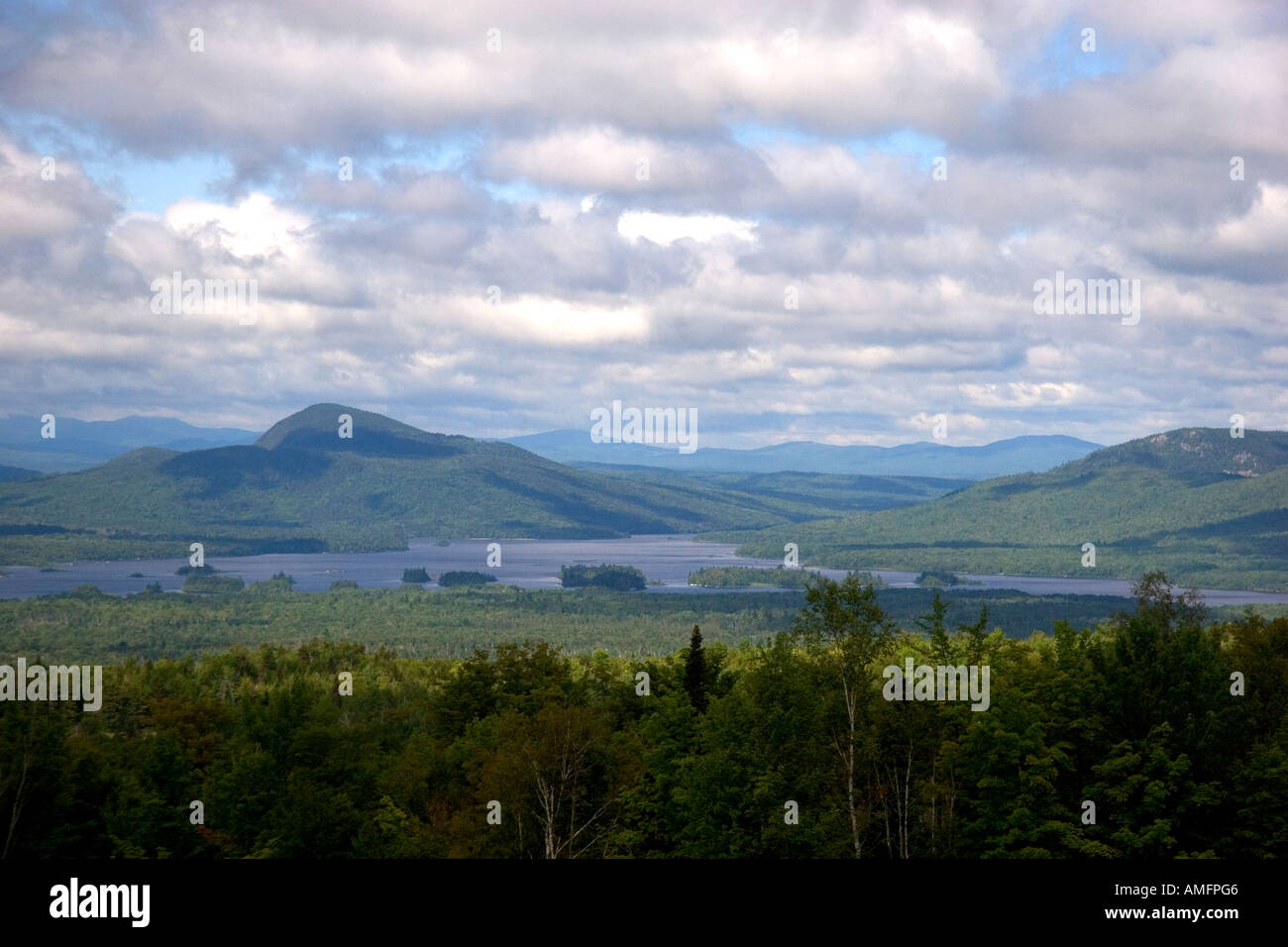 Canadian us border forest hi-res stock photography and images - Alamy