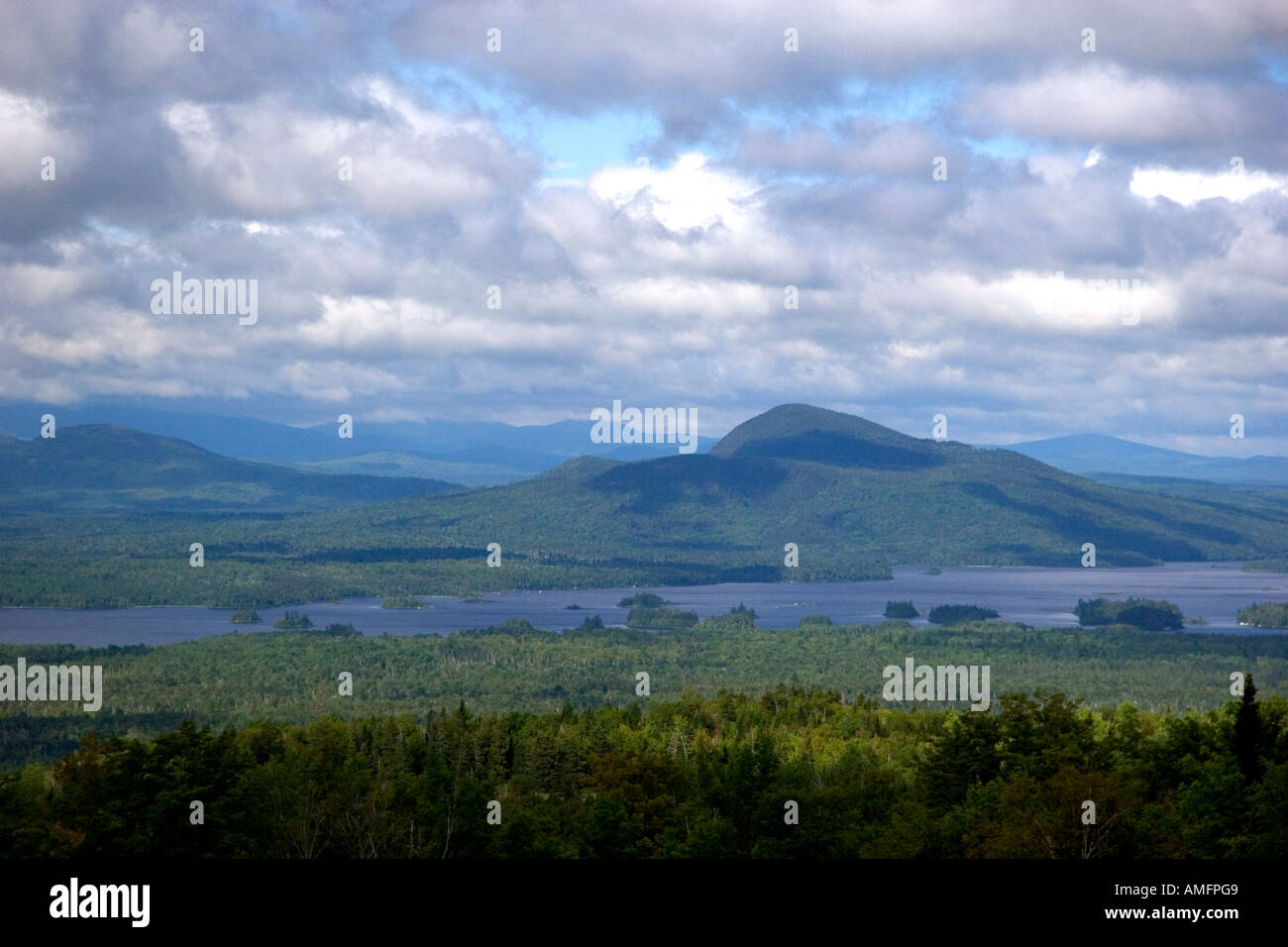 Canadian us border forest hi-res stock photography and images - Alamy