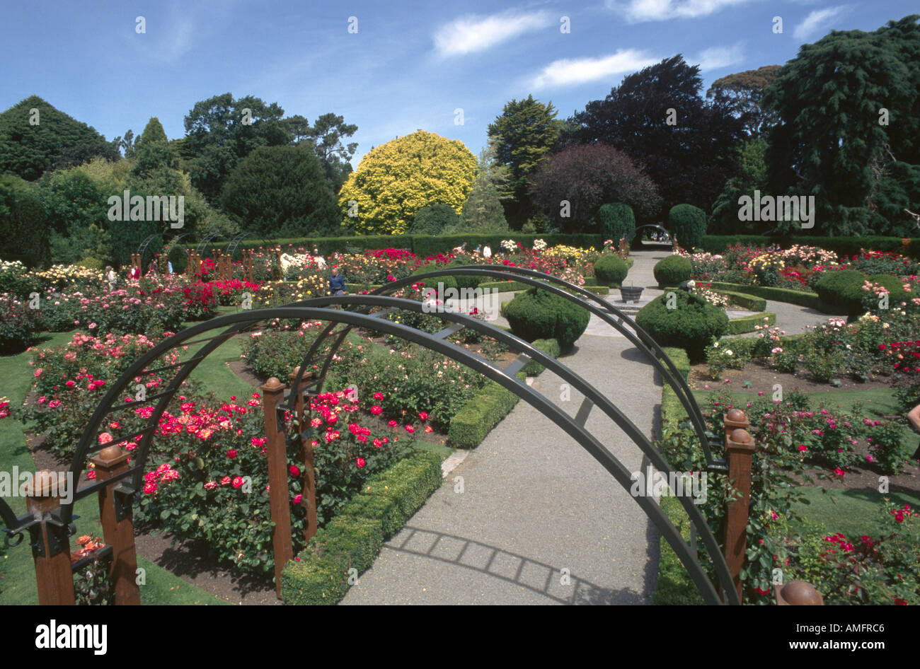 The beautiful ROSE GARDEN is one of the highlights of CHRISTCHURCH S ...