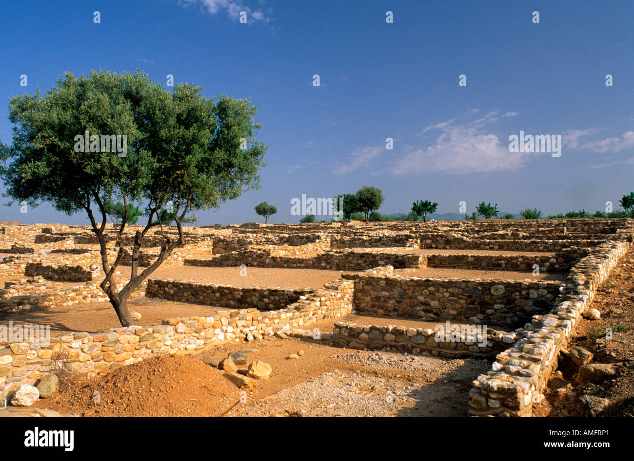 Olynthus hi-res stock photography and images - Alamy