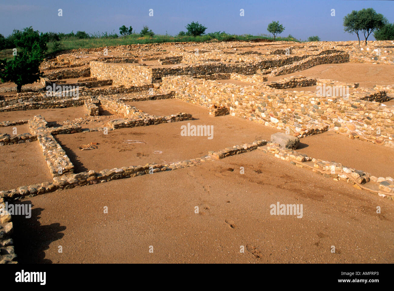 Olynthus hi-res stock photography and images - Alamy