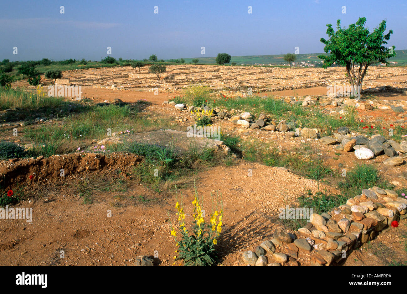 Nea olynthos hi-res stock photography and images - Alamy