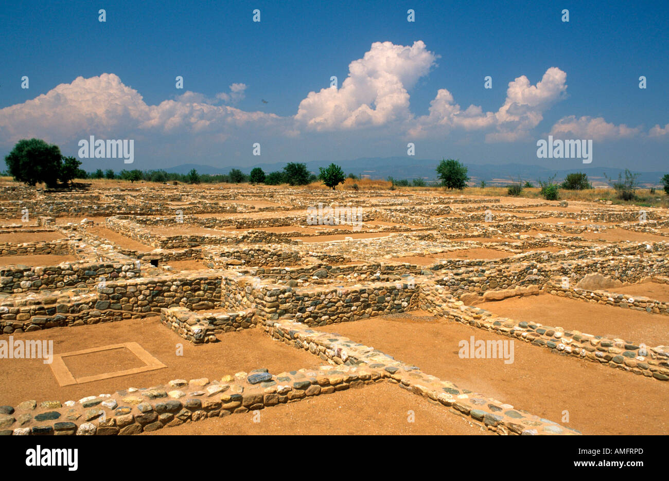 Olynthus hi-res stock photography and images - Alamy