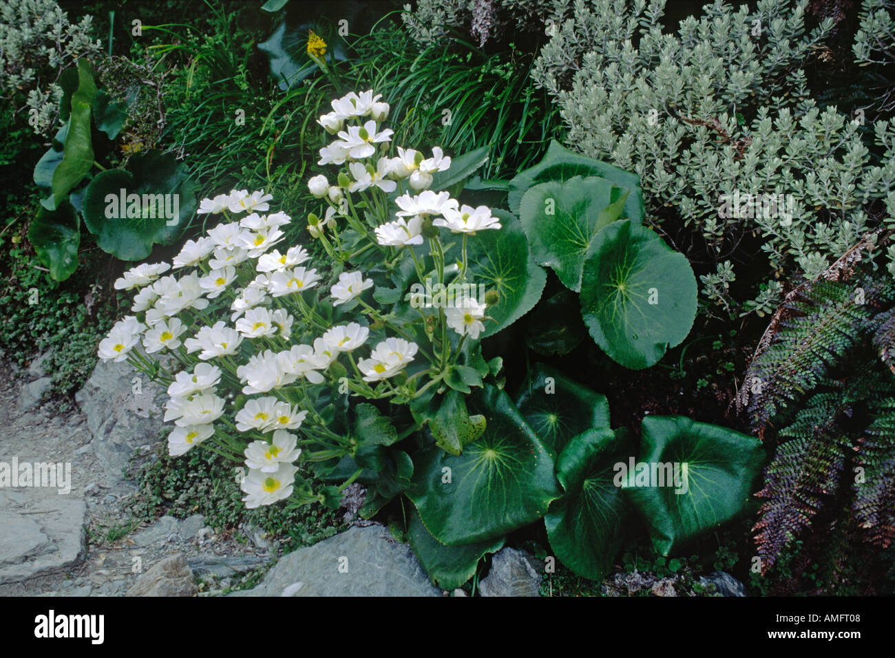 Lily lovell hi-res stock photography and images - Alamy