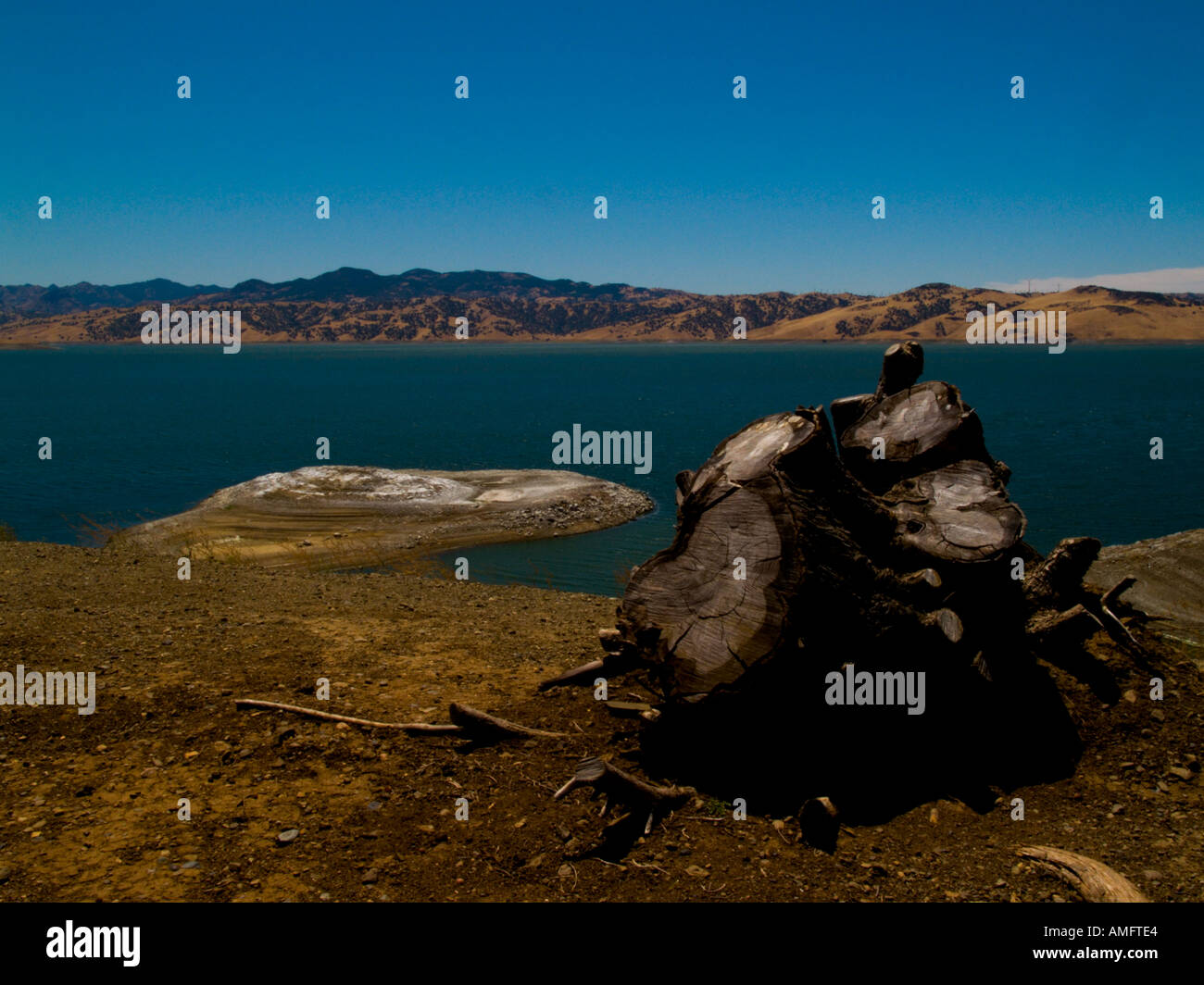 A tree stump watches out over the calm San Luis reservoir water Stock ...