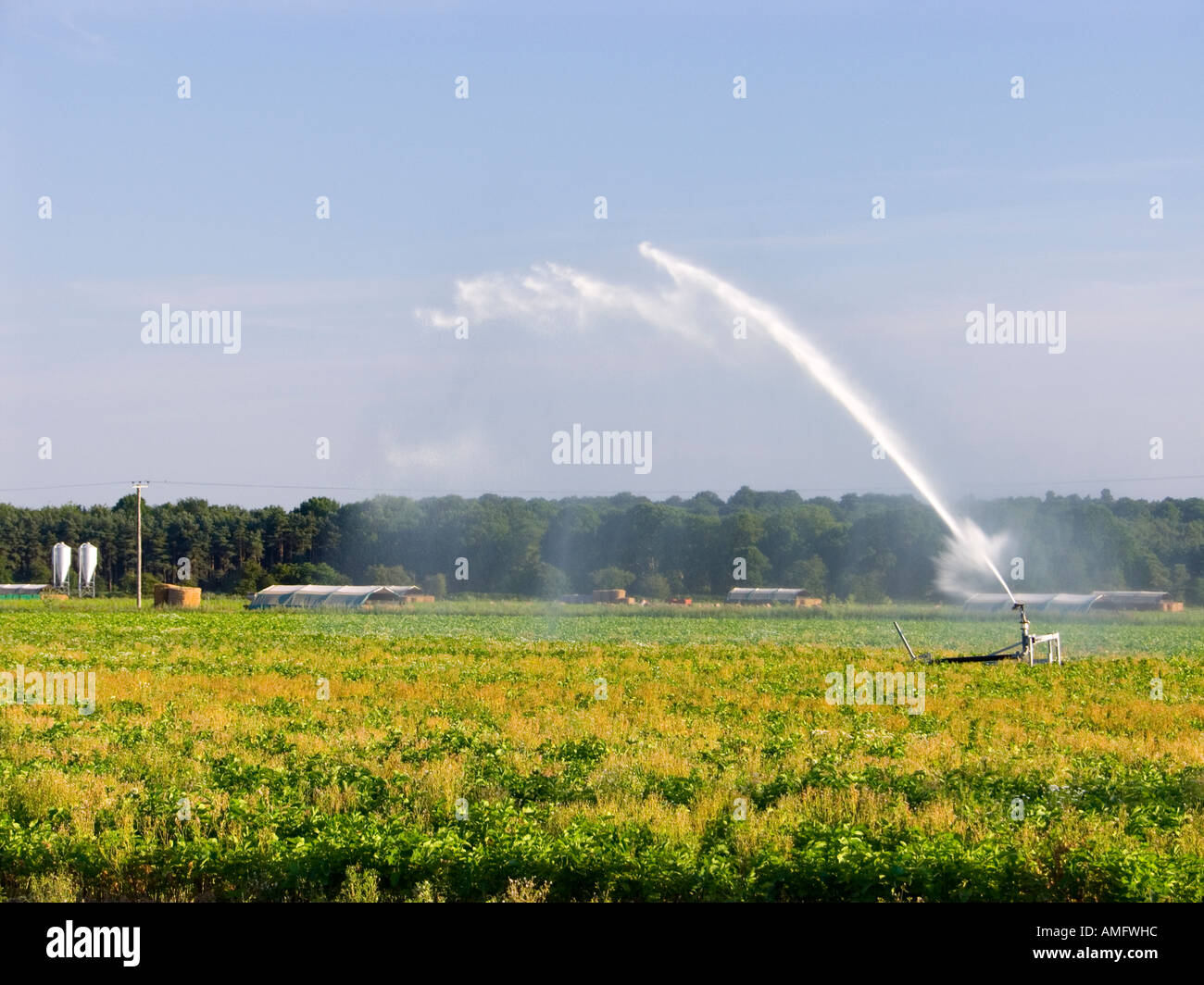 Watering the Crops 1 Stock Photo - Alamy