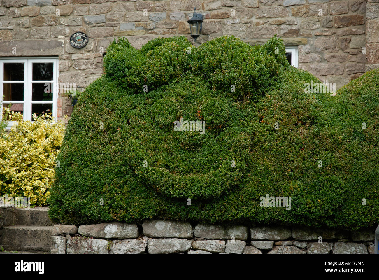 Topiary, a hedge cut into the shape of a smiling cat Stock Photo - Alamy