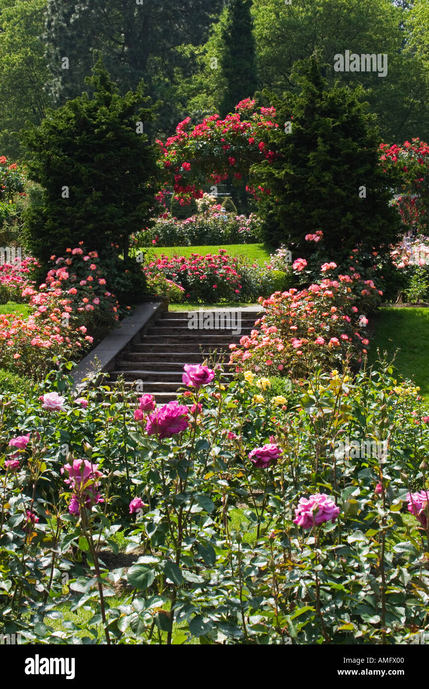 The Portland Rose Garden also known as the INTERNATIONAL ROSE TEST ...