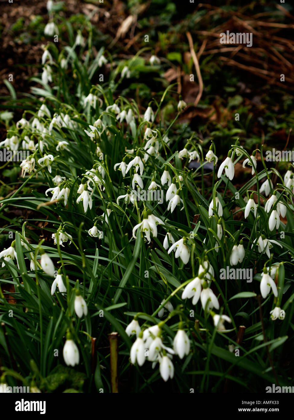 Swaithe hi-res stock photography and images - Alamy