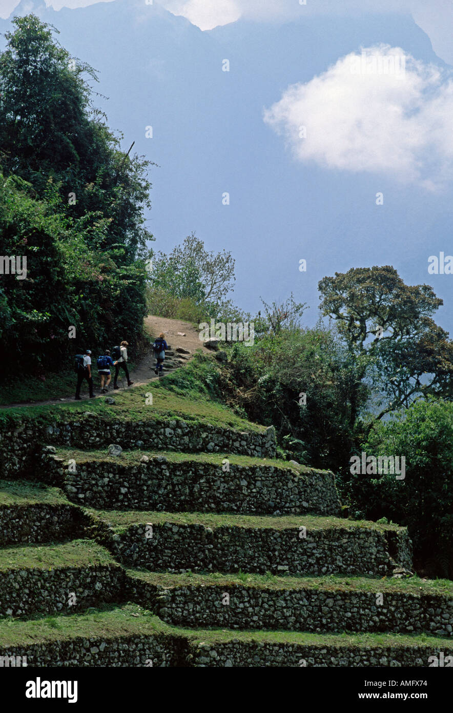 The beautifully constructed STONE TERRACES of WINAY WAYNA forever young ...